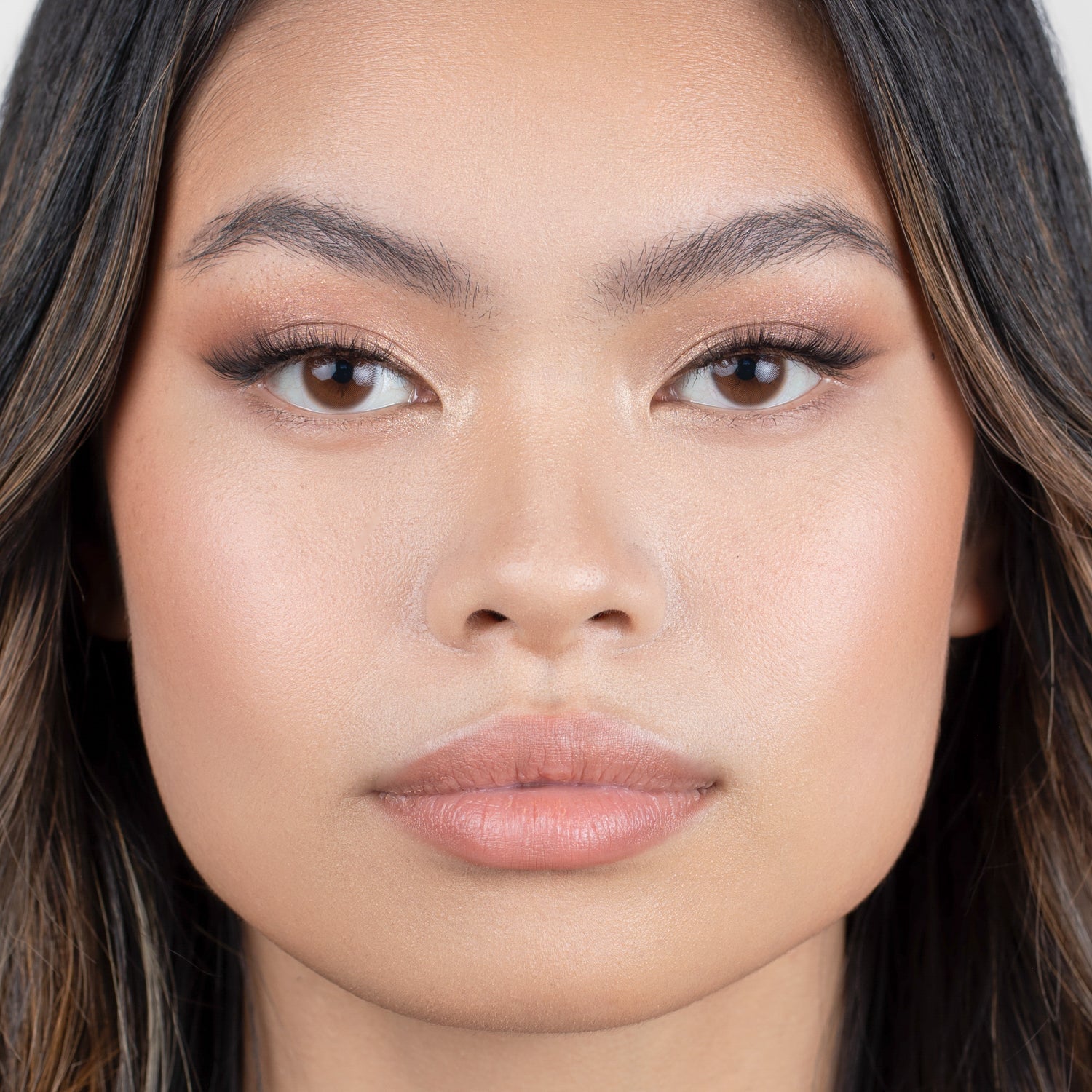 Natural Brown Colour Contacts | Manhattan Brown - Dimple – Dimple Color