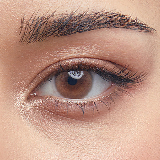 Light Brown Colour Contacts | Piccolo Brown - Dimple – Dimple Color