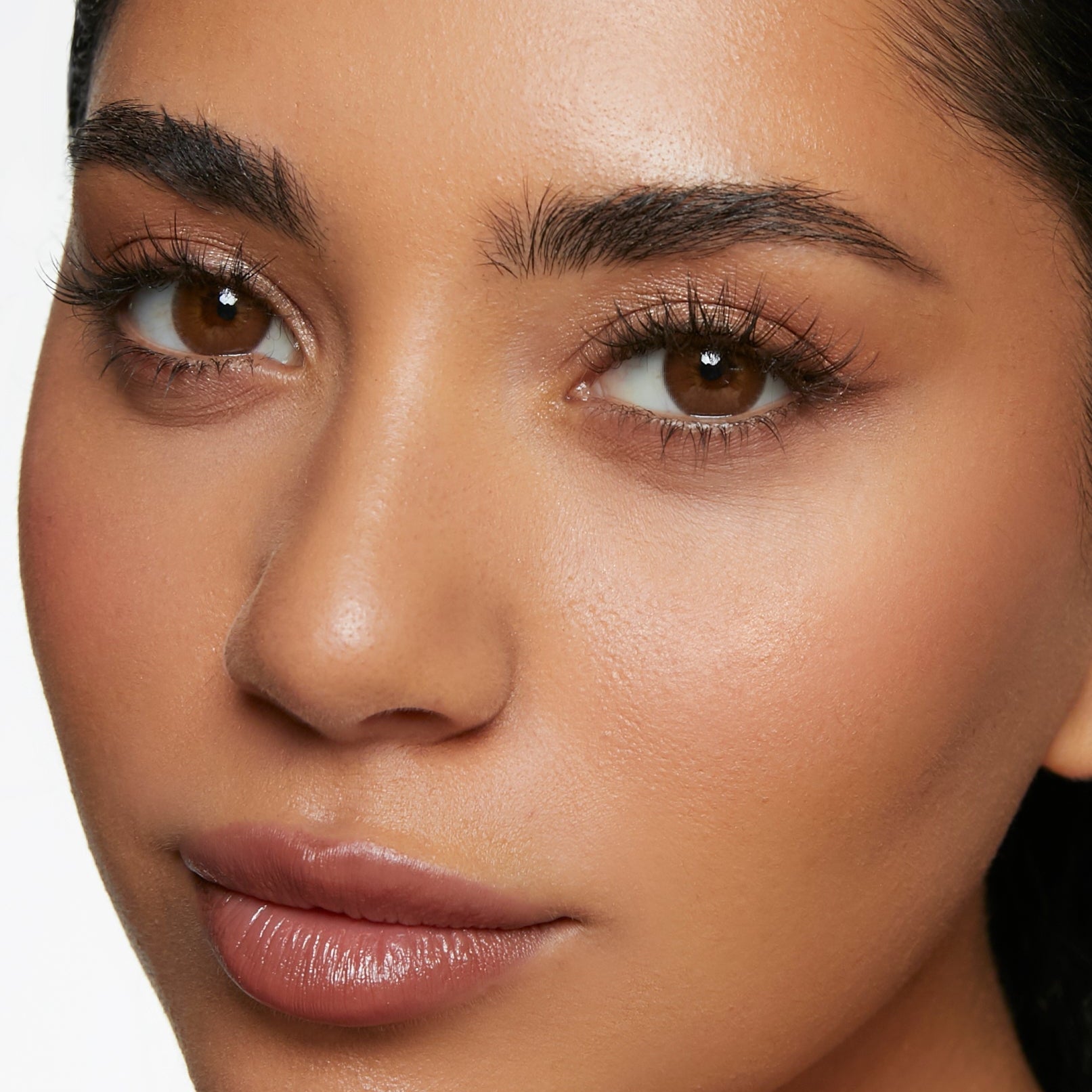 Brown Colour Contacts | Sunset Brown - Dimple – Dimple Color